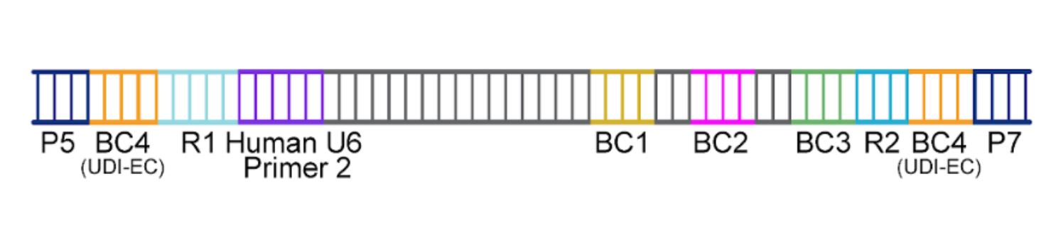 What are the run configuration and sequencing requirements for CRISPR Detect libraries ...